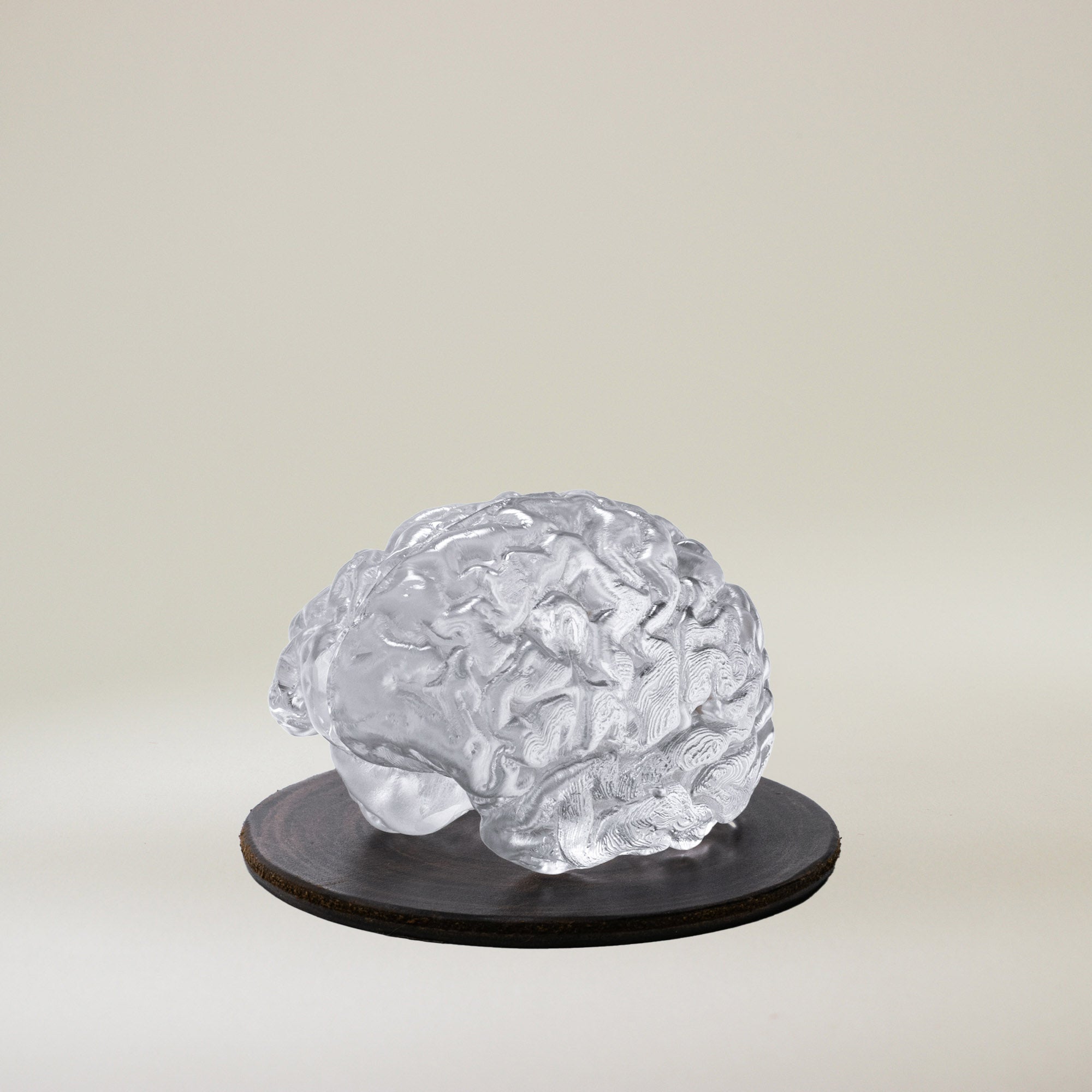 Glass Brain Sculpture - Elevate Your Space with a Glass Brain Sculpture ...